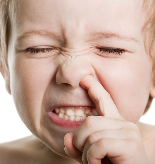 Mangiare le caccole rafforza il sistema immunitario. Parola di ... Mangiare le caccole rafforza il sistema immunitario. Parola di ...