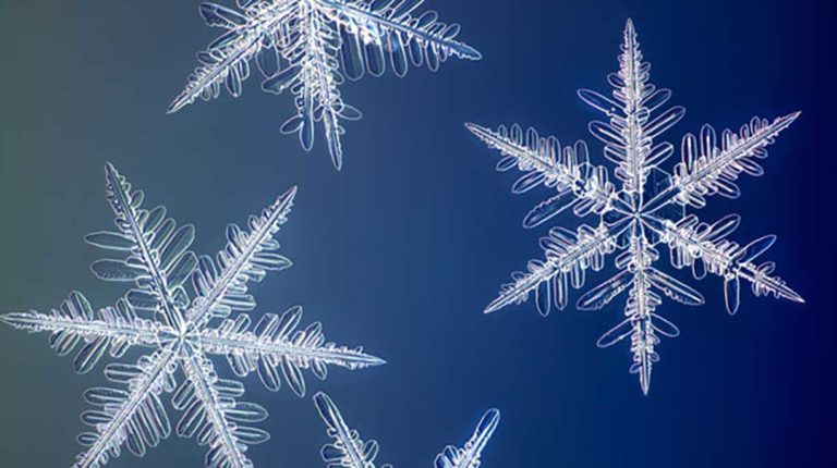 Fiocchi di neve fotografati al microscopio svelano la perfezione della ...