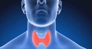 Salute | Ambiente Bio